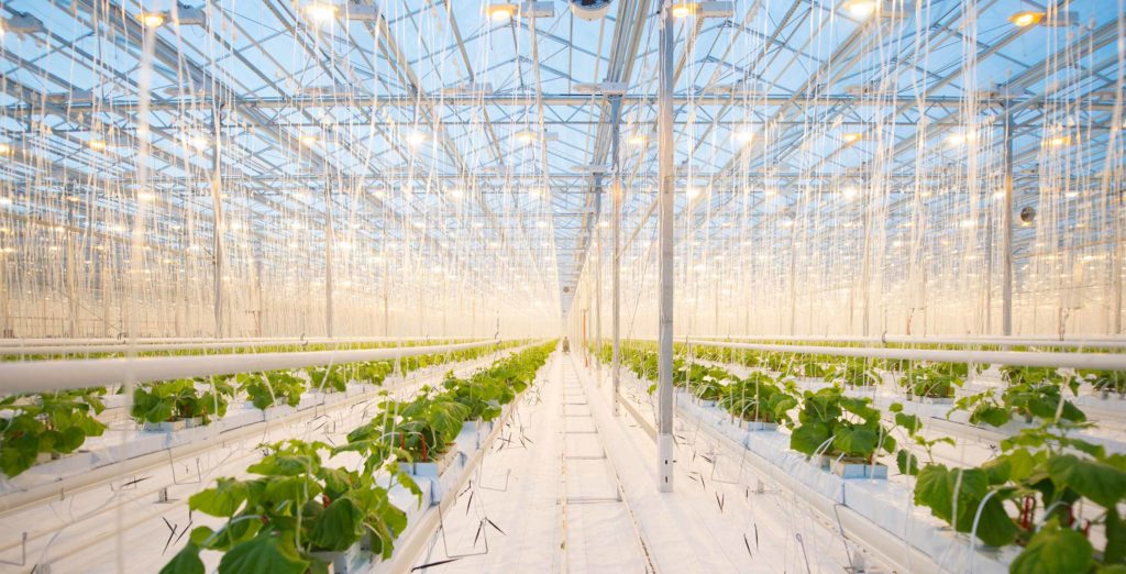 Conventional Lighting | Definition & properties - Baikowski®