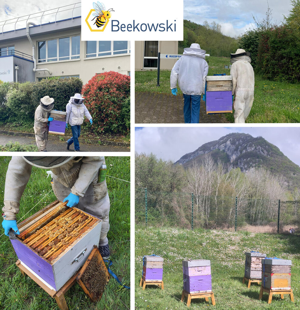 How Beehives on Our Site Join Baikowski’s CSR Mission - Baikowski®